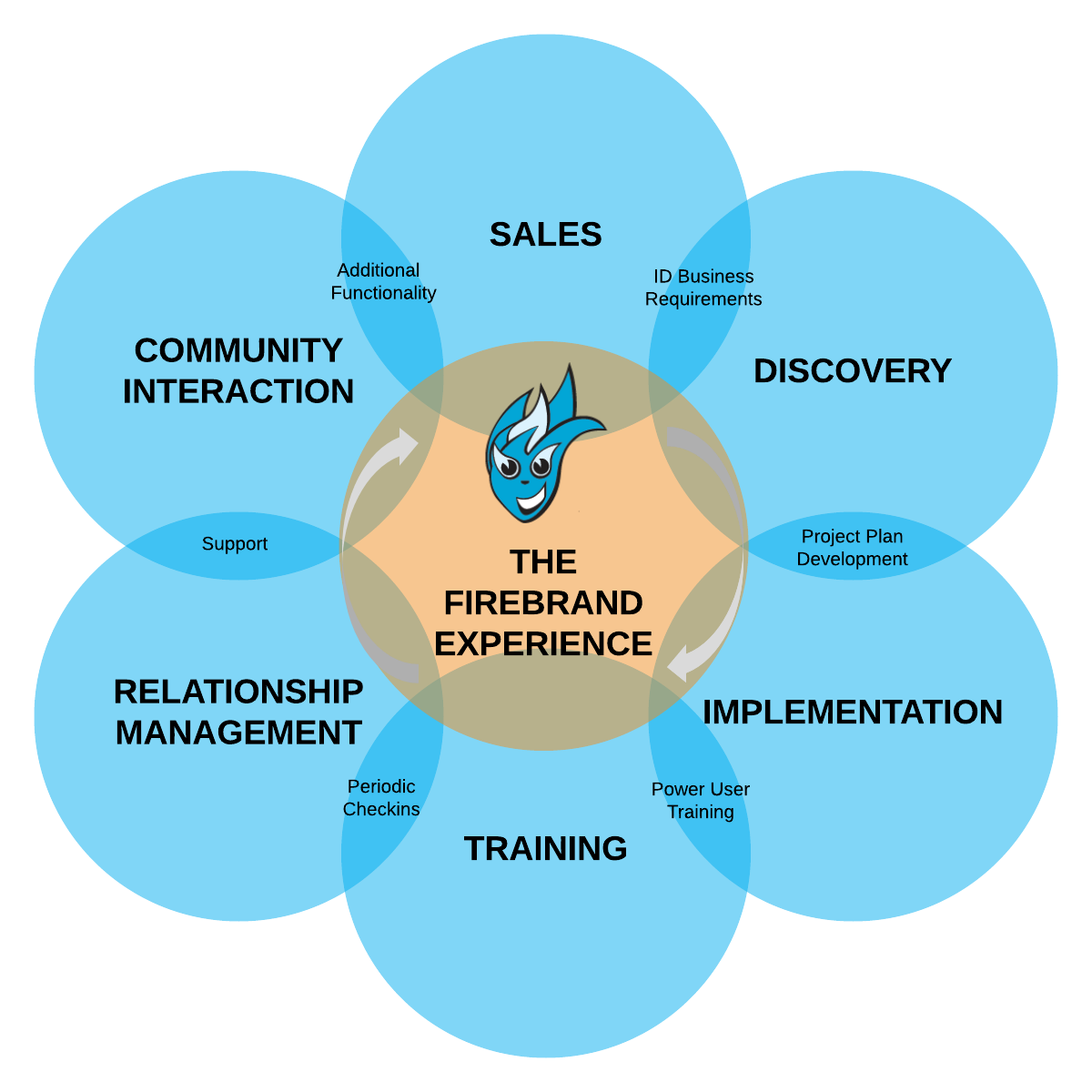 Mission & Vision - Firebrand Technologies